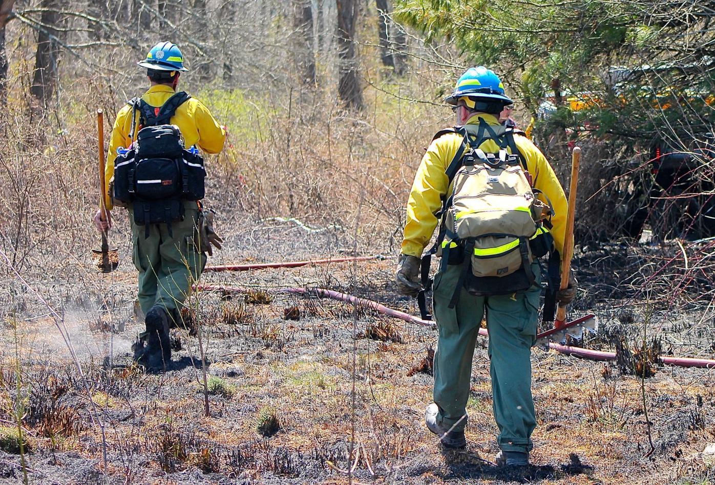 Brush fire in The Plains occurs during area fire watch | News ...