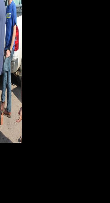 Collecting chunks of history: Nelsonville's brick festival celebrates ...