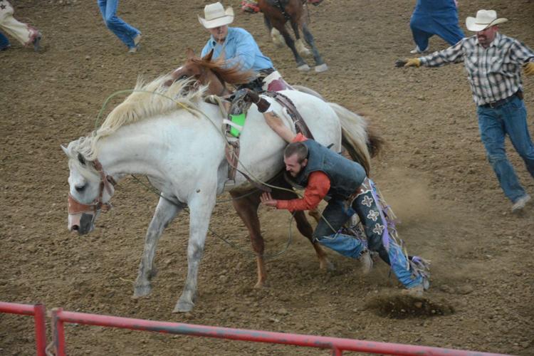 Athens County Fair Rodeo: An incredibly wild ride & more | | athensnews.com