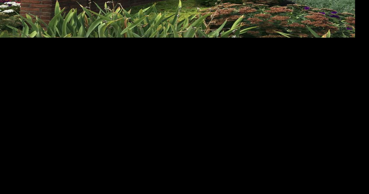 Athens Police investigating three local reports of sexual assault ...