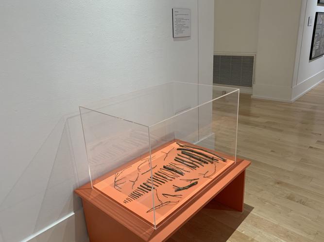 Exhibit boasts frogs, guitars, sticks & more | Arts And Entertainment ...