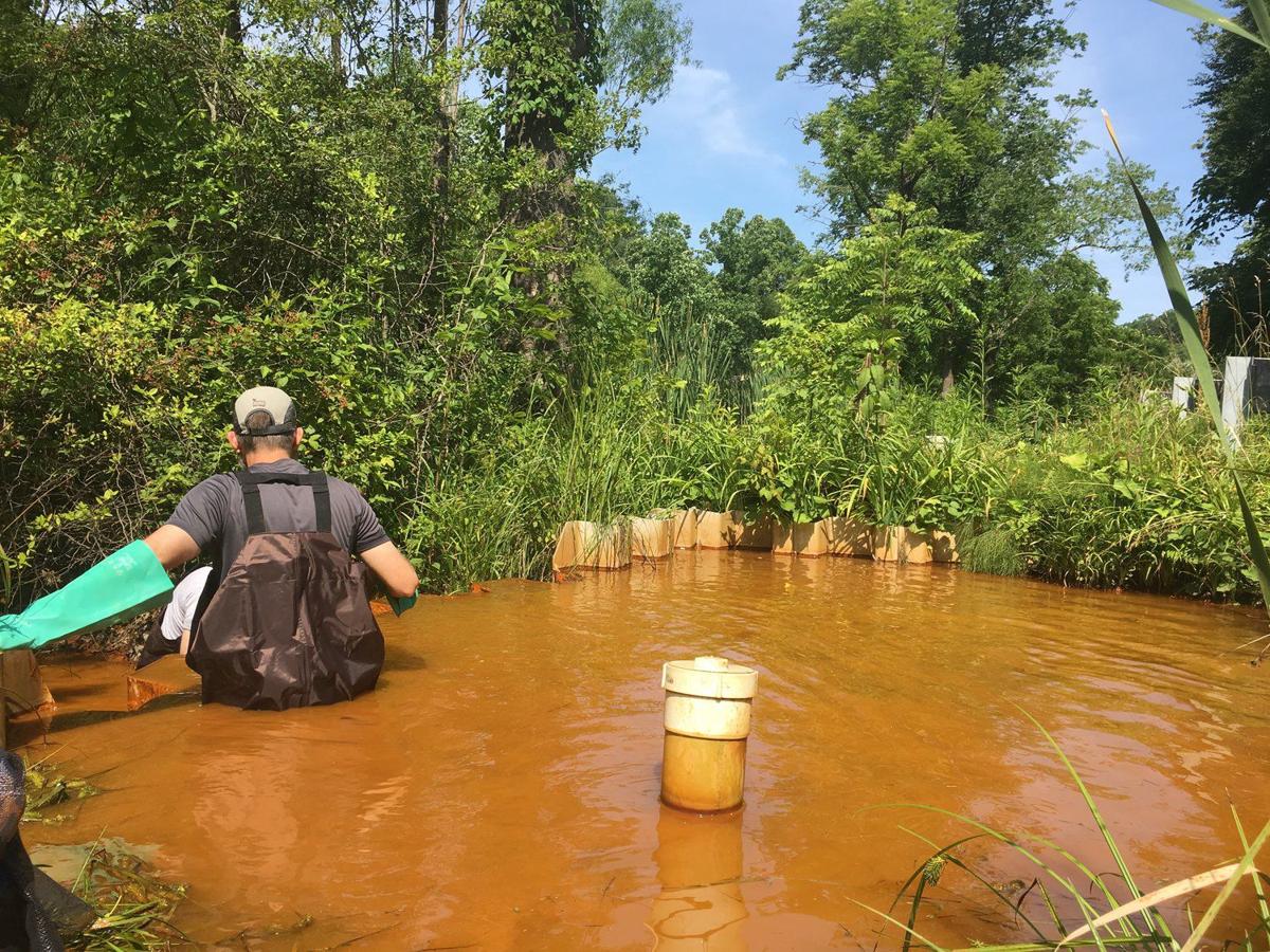 Project converts toxic run-off into paint ingredient | Local News ...