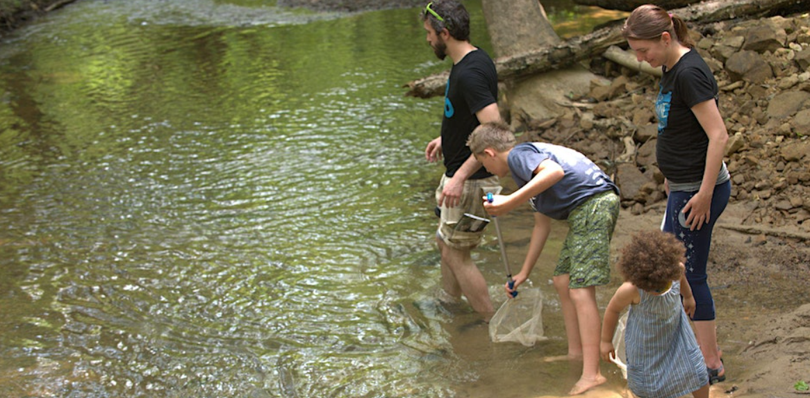 Amesville Creek Day | Miscellaneous | athensnews.com