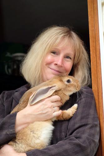 Animal rescuer would like to see more local resources for hoarding ...