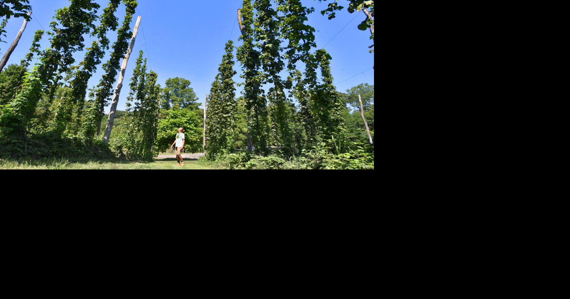 The new 'Meigs Gold' | Local News | athensnews.com