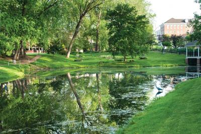 Emeriti pond to see dredging, upgrades this summer | Campus News ...