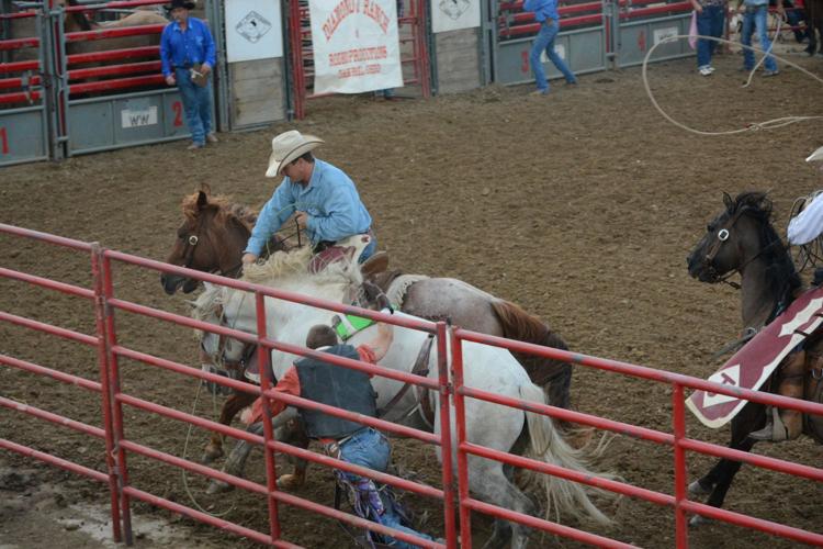 Athens County Fair Rodeo: An incredibly wild ride & more | | athensnews.com