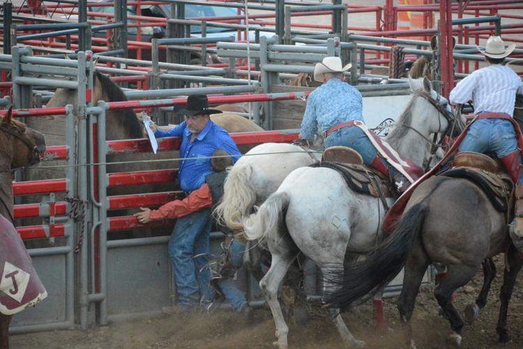 Athens County Fair Rodeo: An incredibly wild ride & more | | athensnews.com