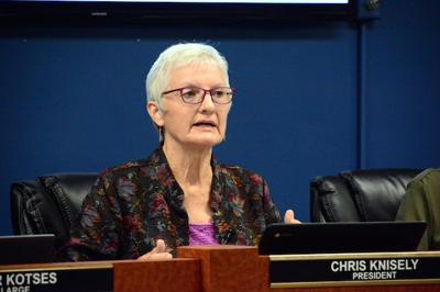 Council president breaks tie on parks director’s salary | Local News ...