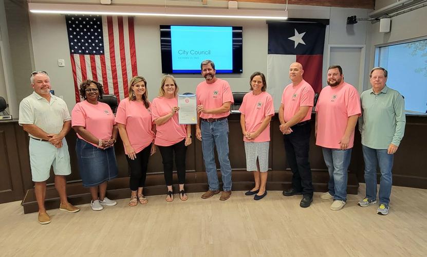Mayor Smith declares ‘Pink Out Day’ in council meeting | News ...