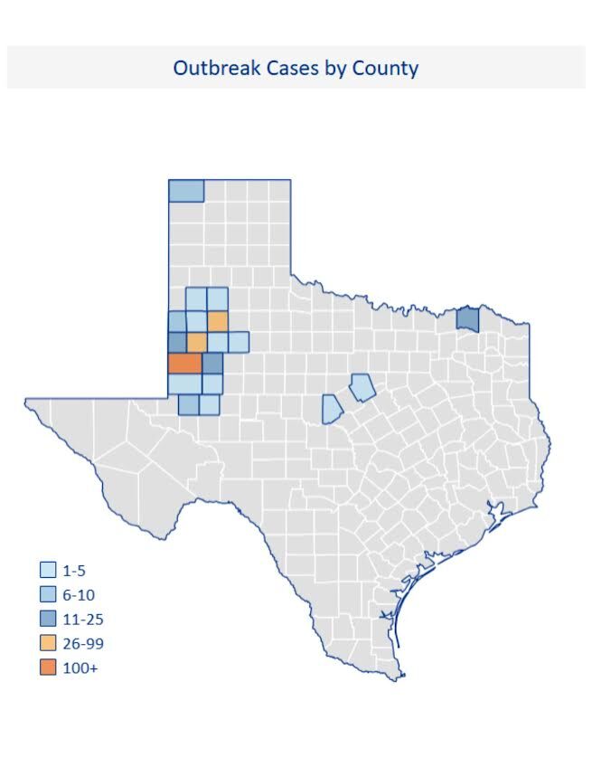 Texas outbreak nears 500 cases | News | athensreview.com