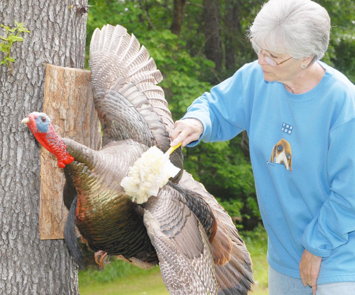 Spring Cleaning: Adding some mount maintenance to those shelter-in ...
