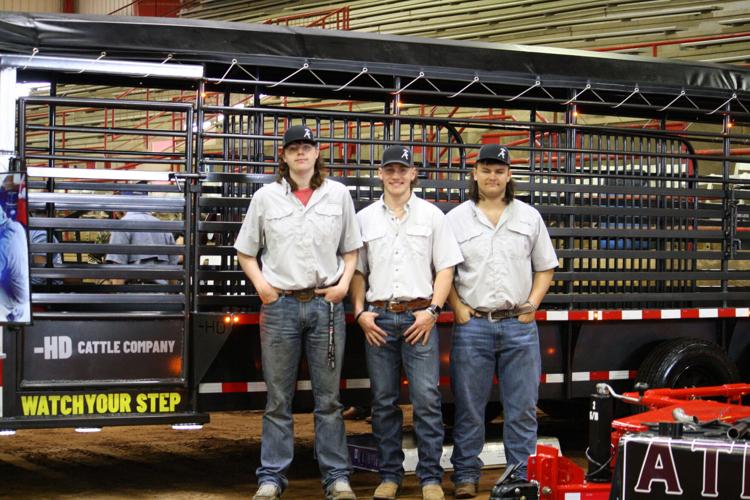 Livestock show continues | News | athensreview.com