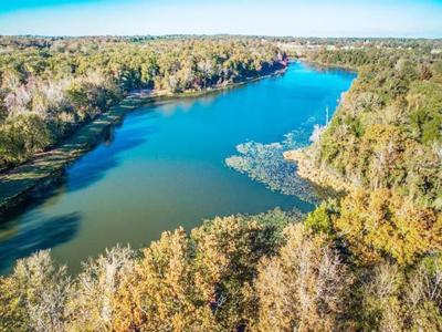 Fishing report: Athens' bass are fair up to eight pounds | Sports ...