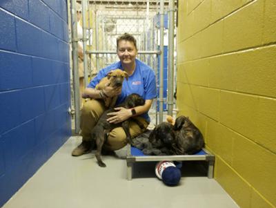 Kat, Dogs, and the new Athens Animal Services | News | athensreview.com
