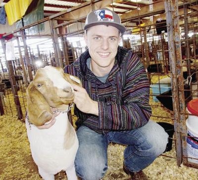 Henderson County 4-H prepping for March show | News | athensreview.com