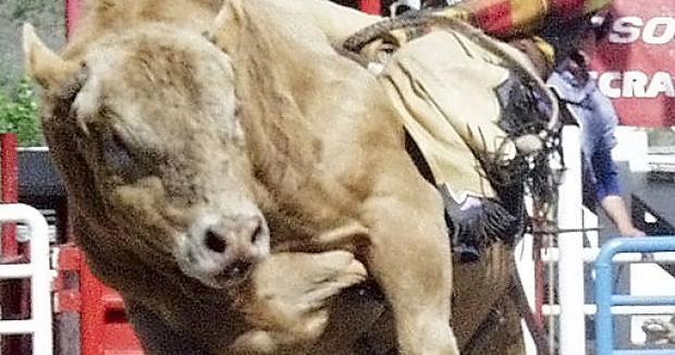 Rodeo today! | Local News | athensreview.com