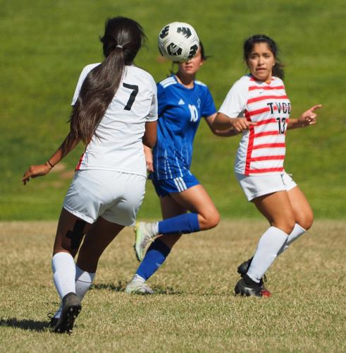 PHOTOS: TVCC soccer teams take on Blinn | Sports | athensreview.com