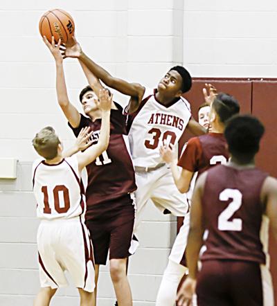 AMS Hornets finish games 1-3 against Palestine | Sports | athensreview.com