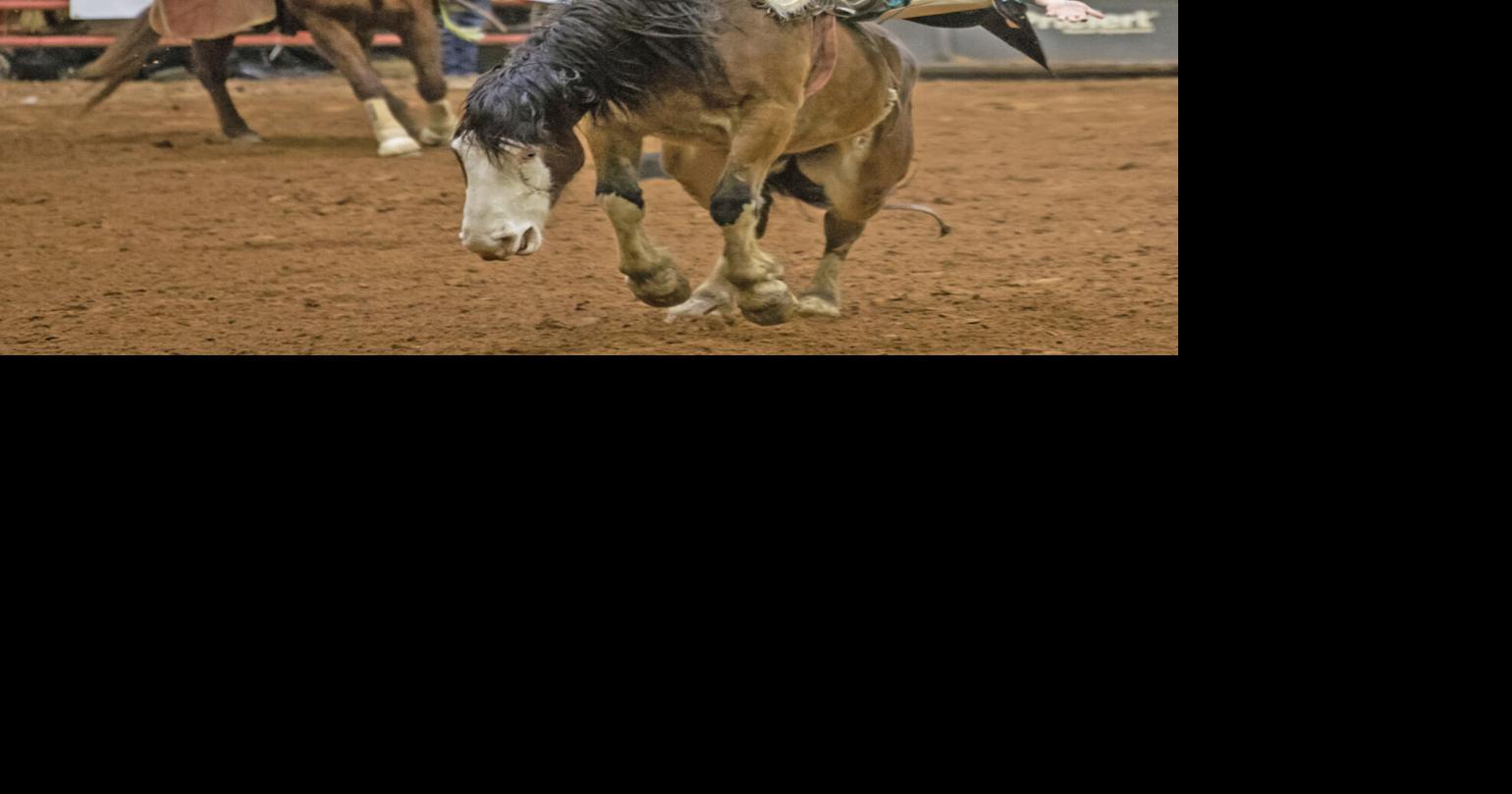TVCC presents 14th annual rodeo April 29-30 | News | athensreview.com