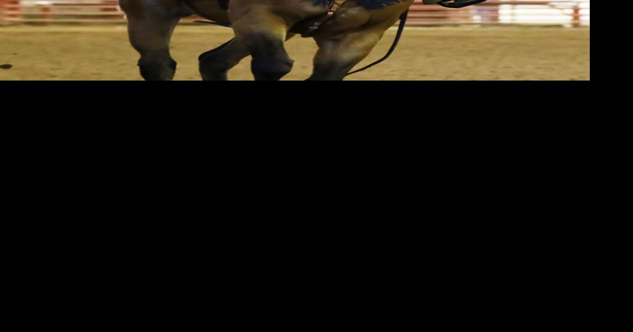 Livestock show begins in Athens | News | athensreview.com