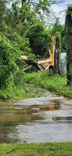 Tuesday’s storm looked worse than it was | News | athensreview.com
