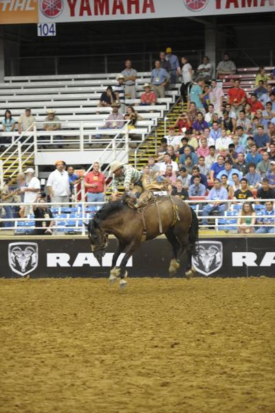 Rodeo time in Athens | Local News | athensreview.com