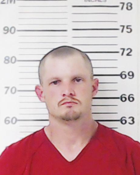 Kemp man indicted for evading arrest, detention | News | athensreview.com