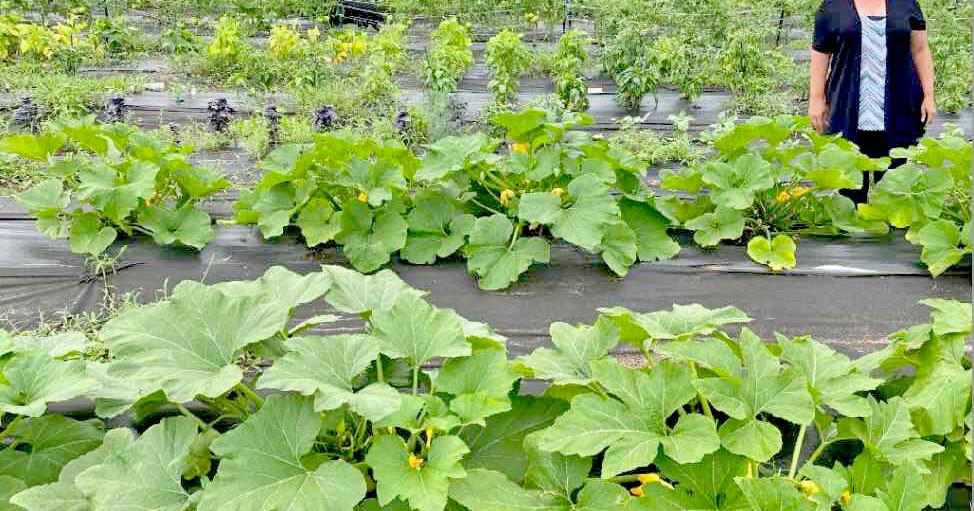 Meet the Masters: Rachel Bayless | News | athensreview.com