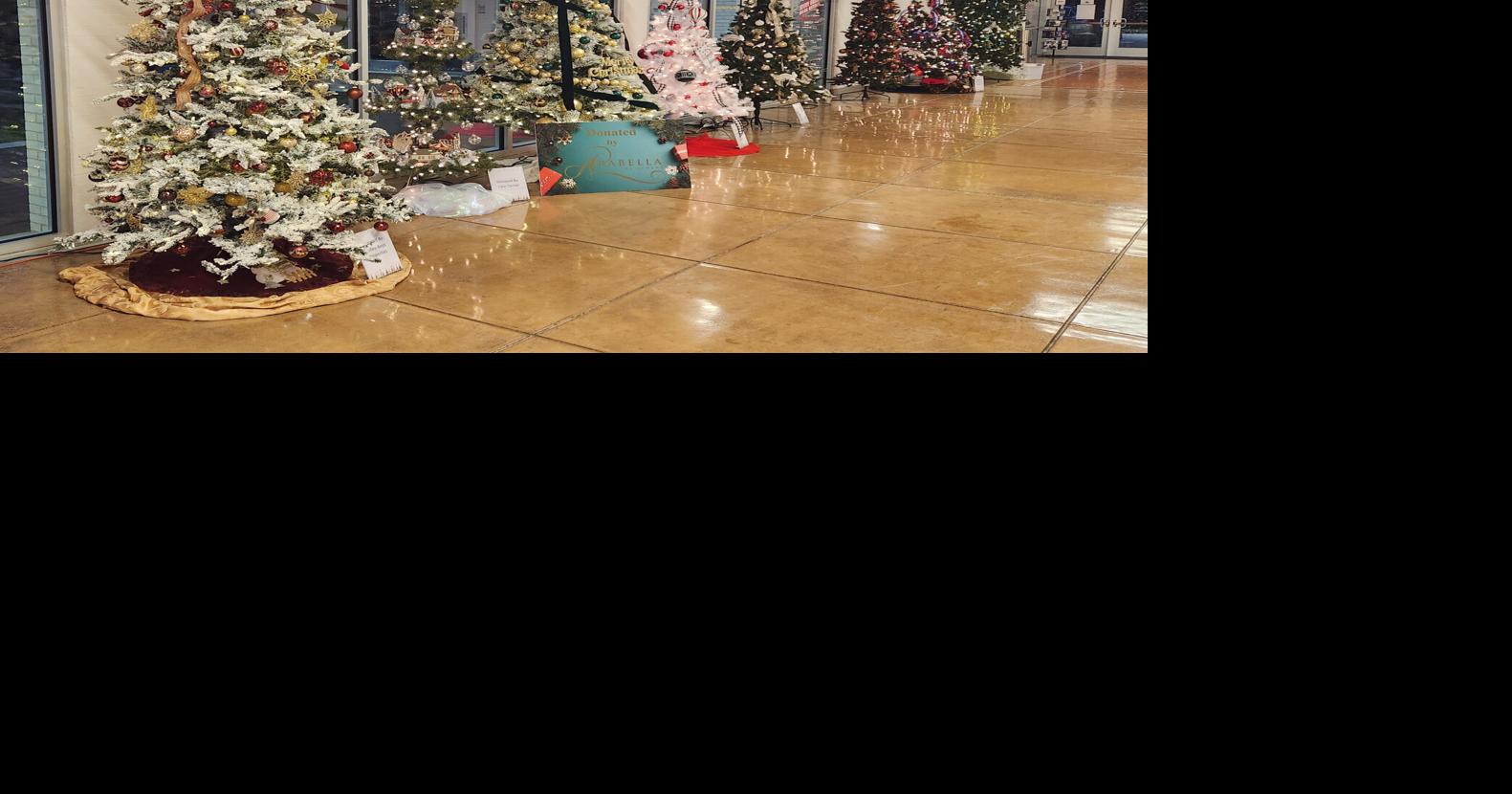 Cain Center Christmas Tree auction underway | News | athensreview.com