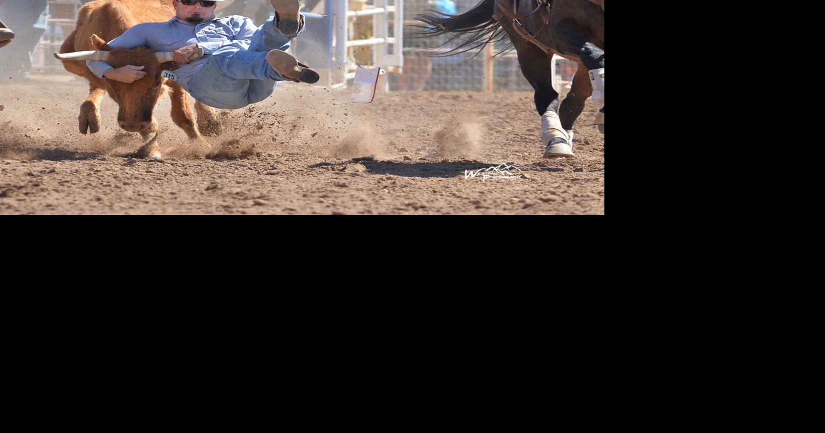 Rodeo: Cowboys in the process of going back to work | Sports ...