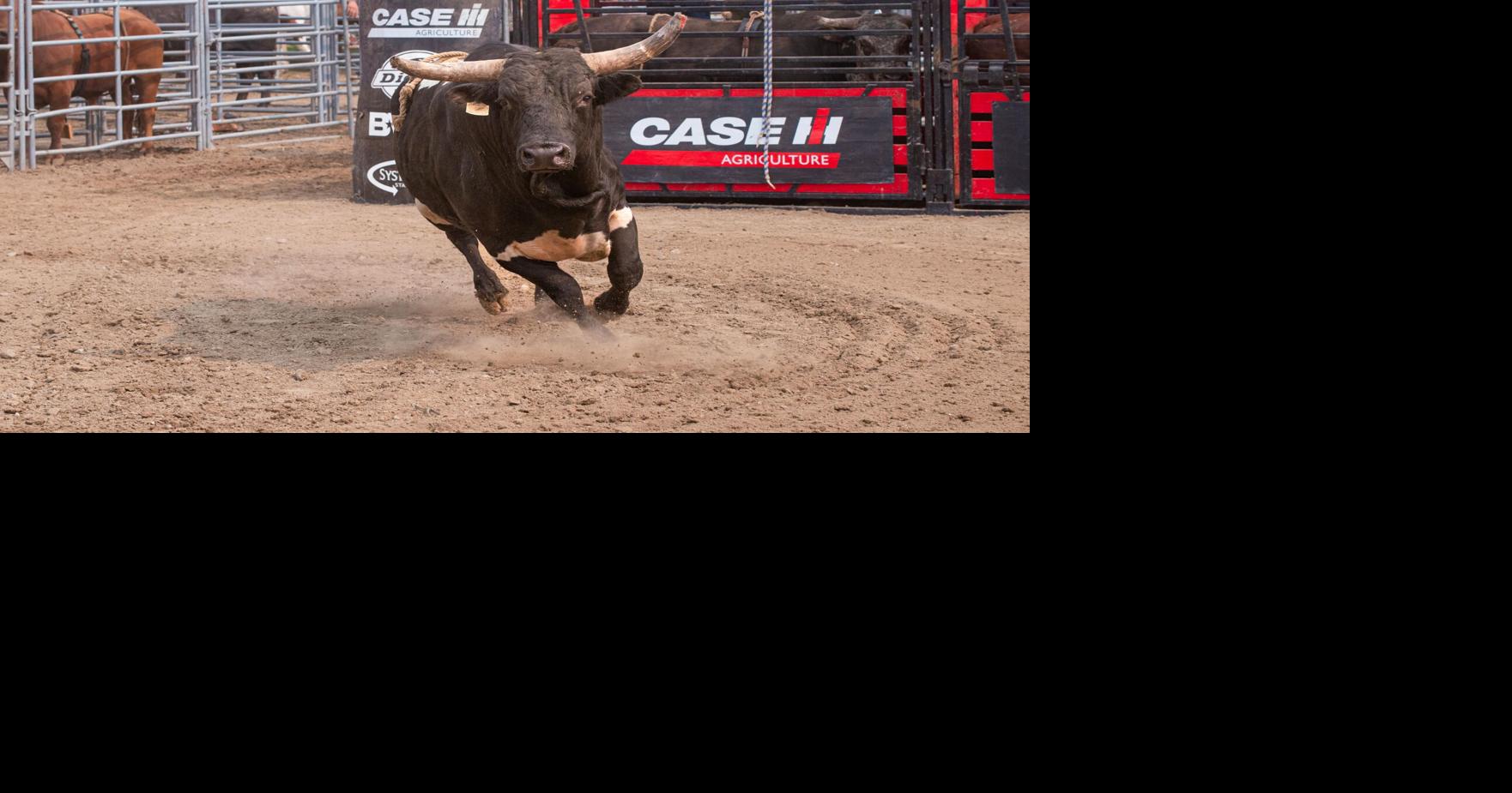 Get yer boots on, the rodeo’s here | News | athensreview.com