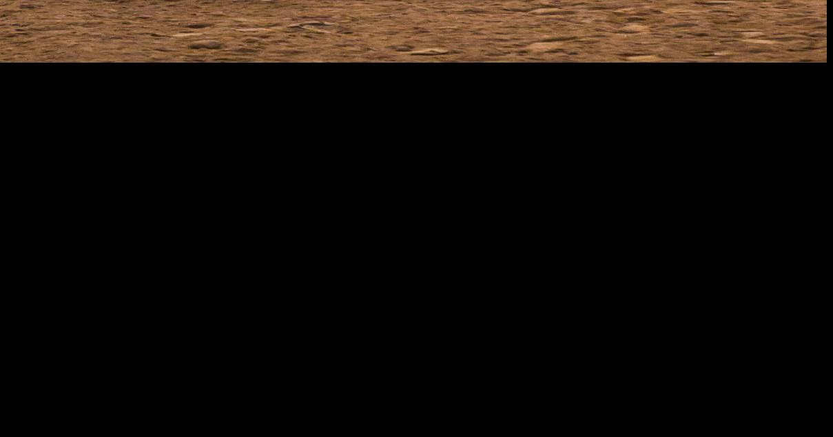 Lone Star High School Rodeo | News | athensreview.com