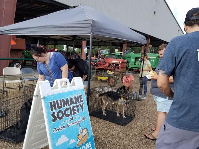 Mabank Jubilee | News | athensreview.com