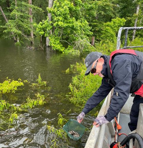 Outdoors: On a Rise | Sports | athensreview.com