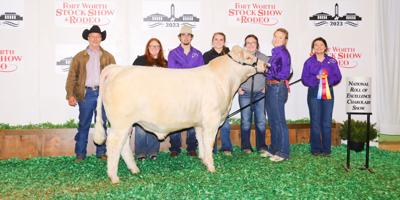 TVCC Beef Cattle show teams wins awards at Fort Worth Livestock Show ...