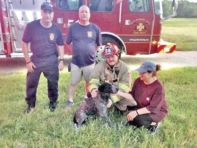 Gun Barrel firefighters rescue dog from cistern, find owners | News ...