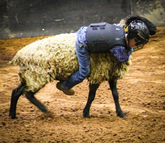 Rodeo Week rides into Henderson County | News | athensreview.com