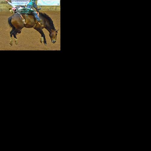 Annual rodeo set for Friday and Saturday | News | athensreview.com