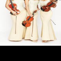 Alluring Alizma | Arts and Entertainment News | atlanticcityweekly.com