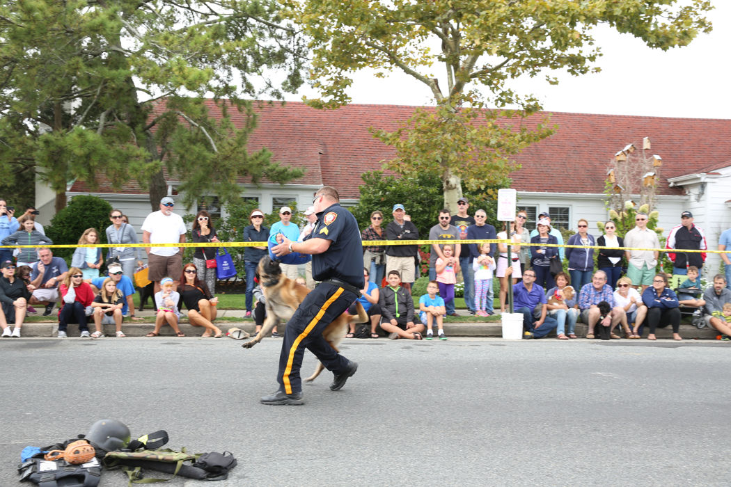 Margate Fall Funfest | Gallery | atlanticcityweekly.com