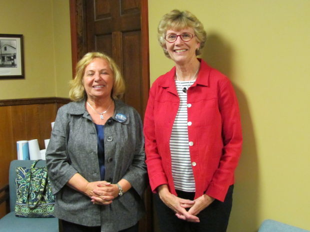 Diane Dwire attends Skaneateles Town Board meeting, discusses local ...