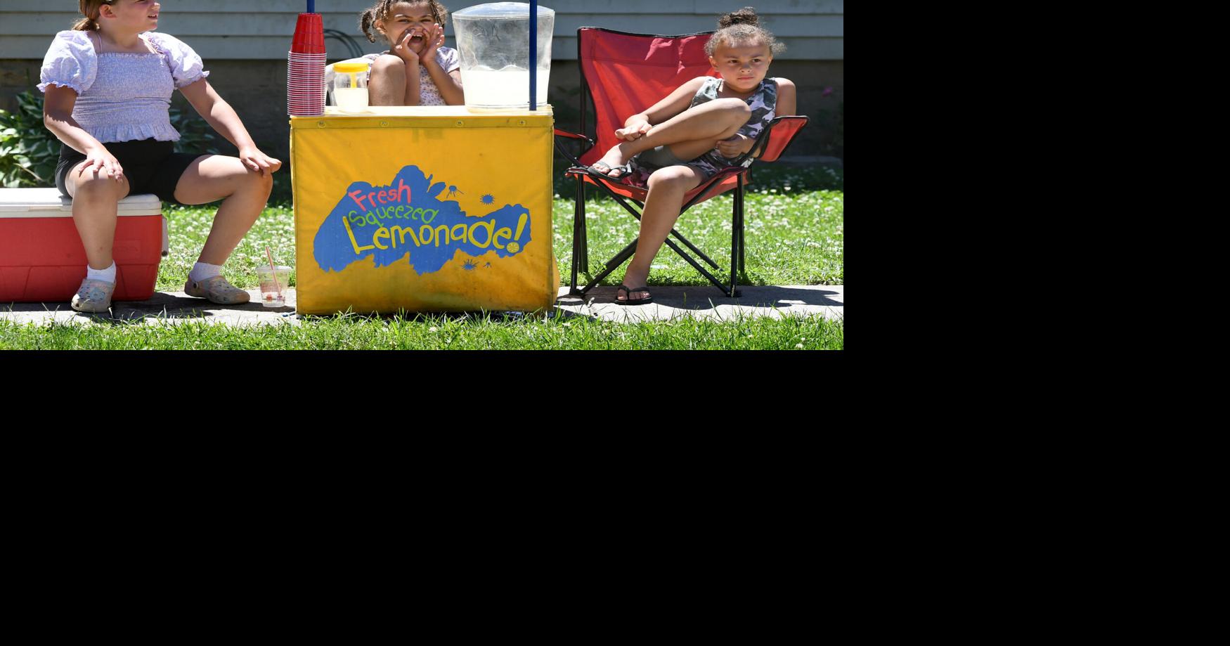 Video: Neighborhood kids sell lemonade on Owasco Street in Auburn