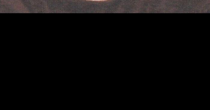 Marian Hopkins Perry Stevens