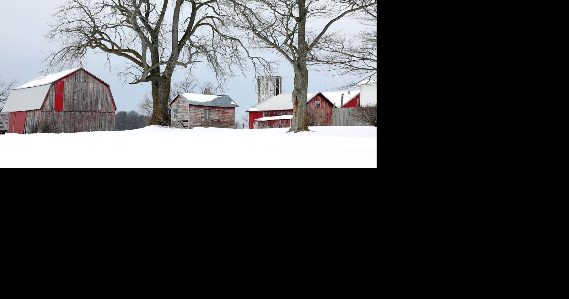 The meaning of the terms polar vortex, bomb cyclone