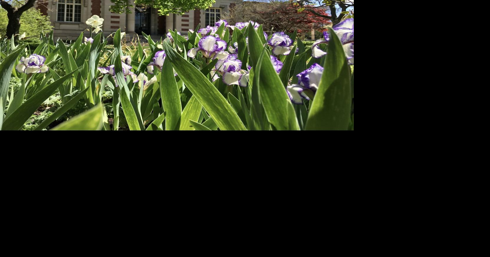 Seymour Library: Longer hours, bigger games and more