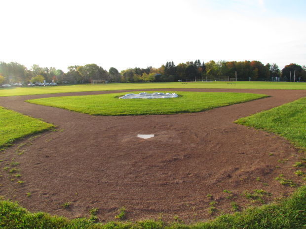 'Nice setup': Austin Park ball field renovation project nearing completion