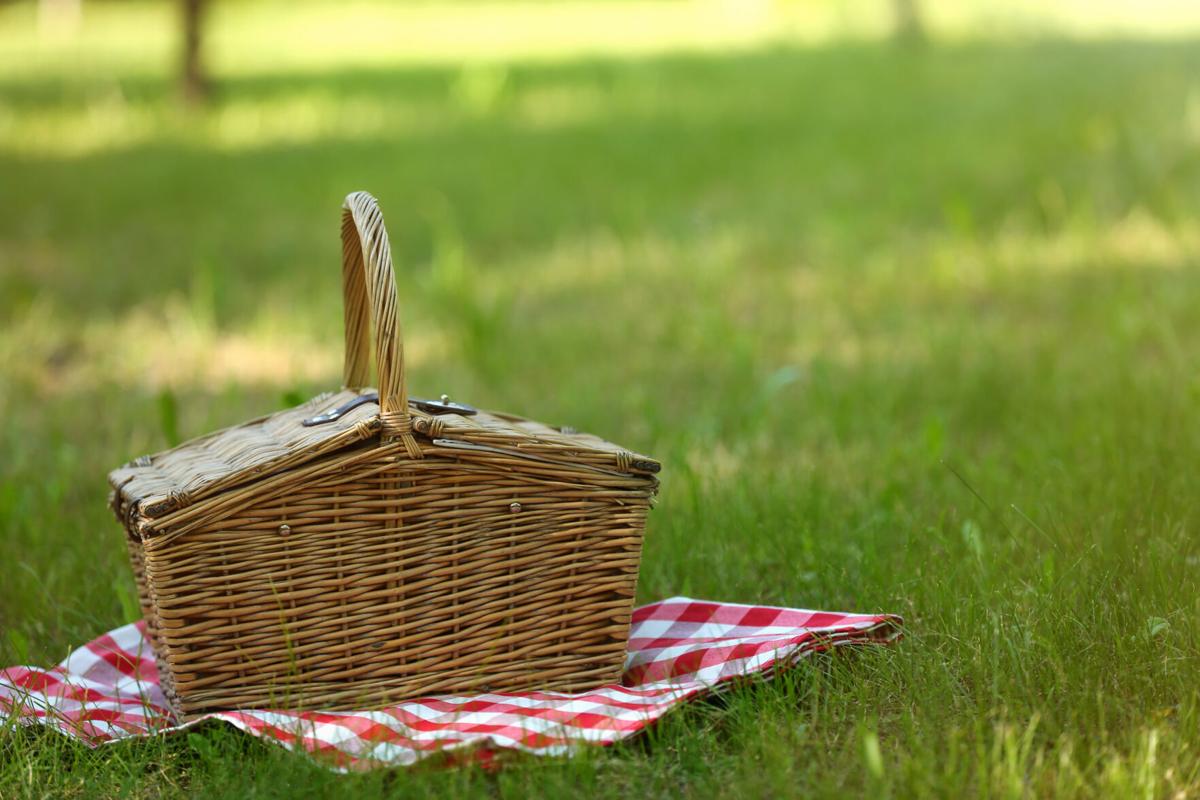 Best and worst foods for a picnic