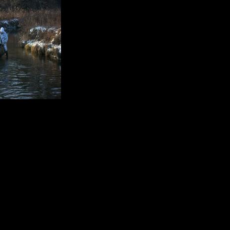 Brewer: Ducks tougher to hunt in late season