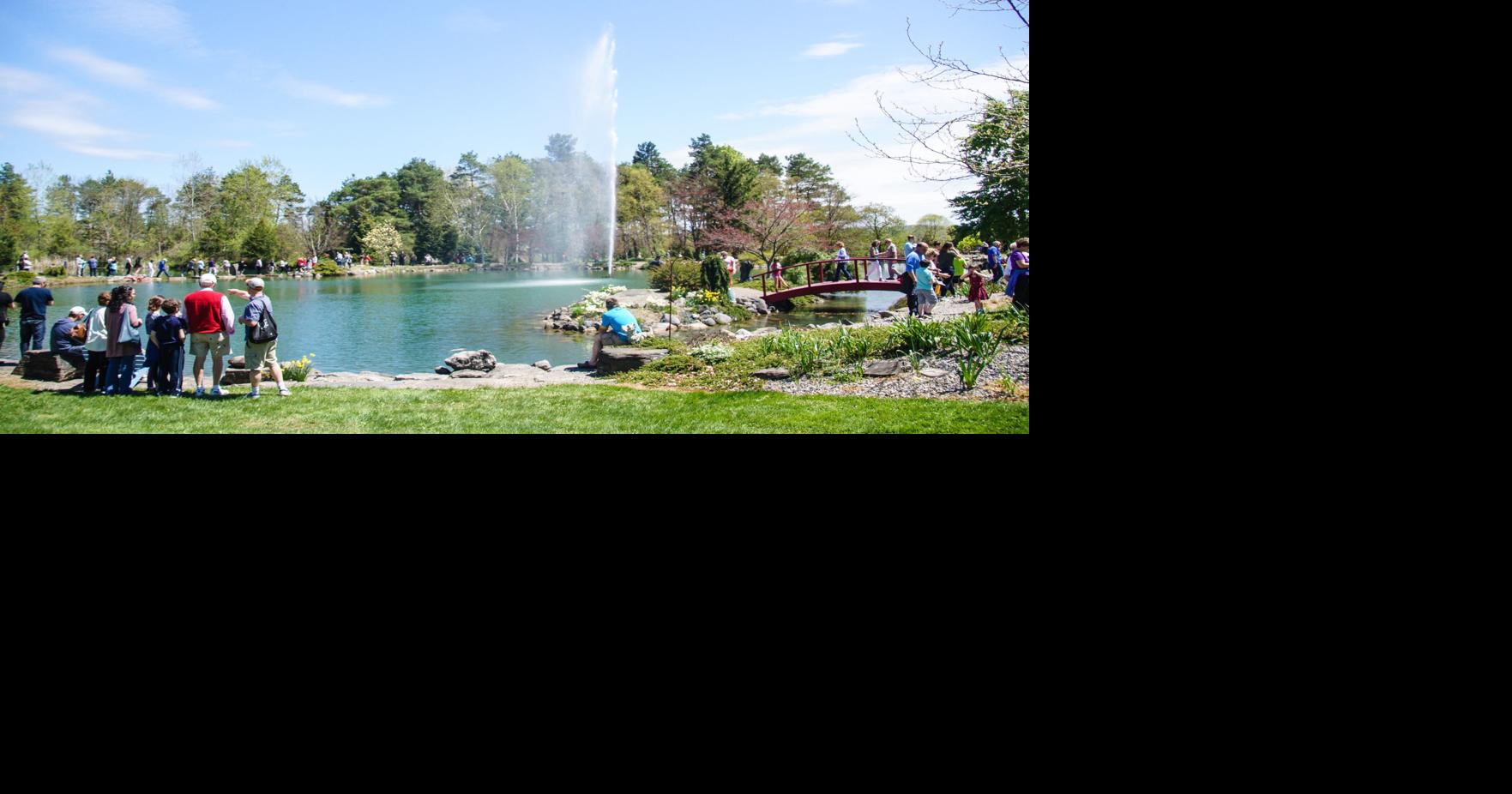 'A new tradition': Families flood Sycamore Hill Gardens in Marcellus on ...